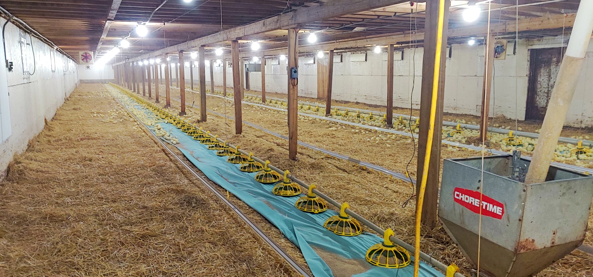 Case Study: Jeremy Froese | Phason Controls